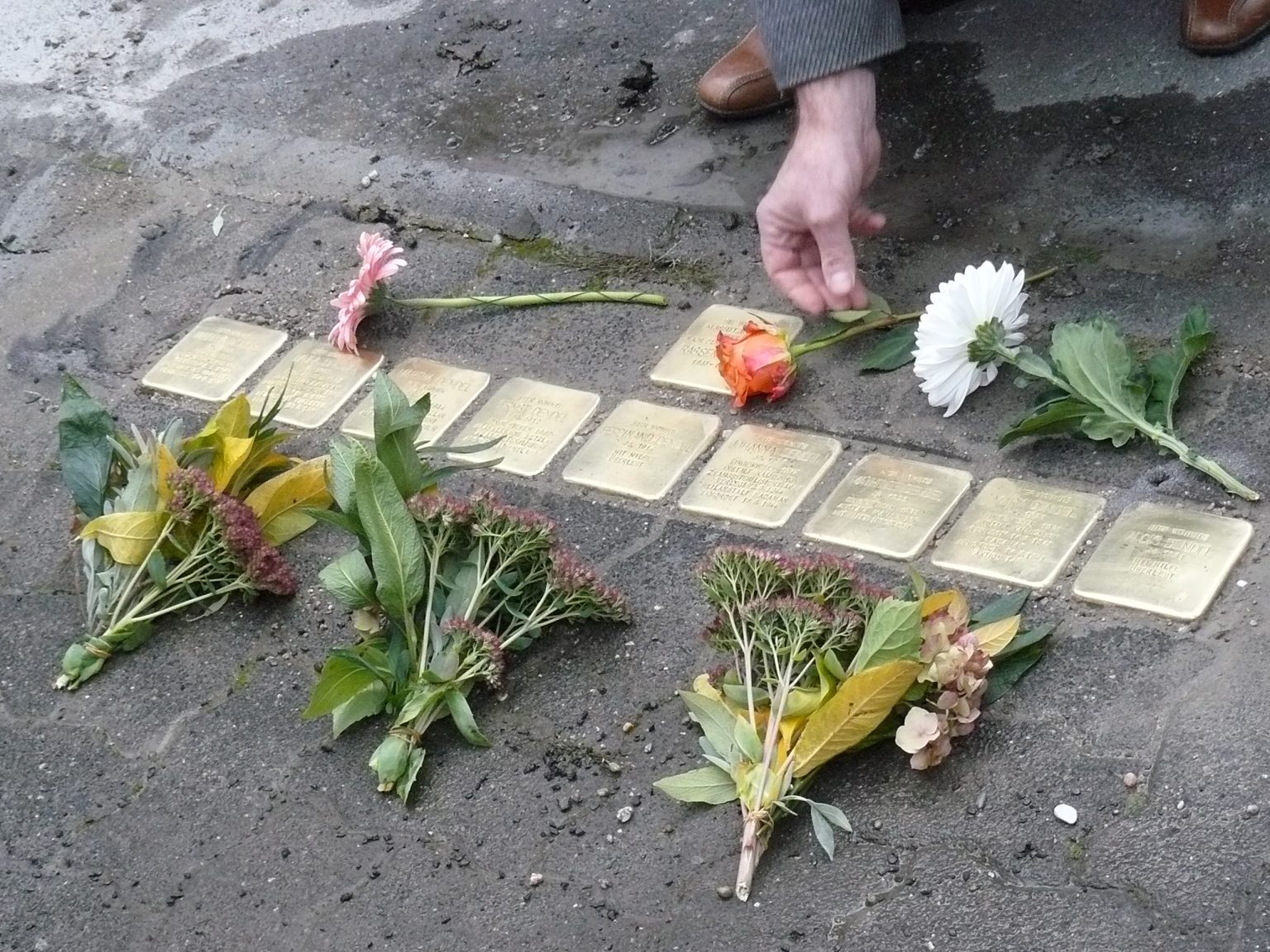 Die Geschwister Dendel – Vernunft und Schwäche